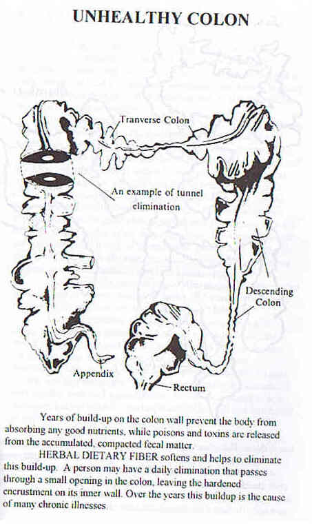 Death and Life Begin in the Colo